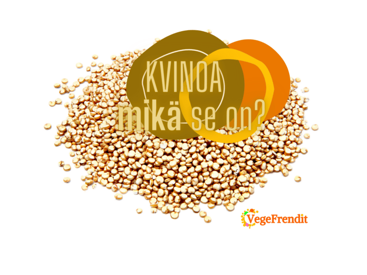 Kvinoa - Vegefrendit