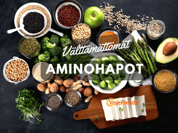 Aminohapot: Kaikki aminohapoista - Vegefrendit