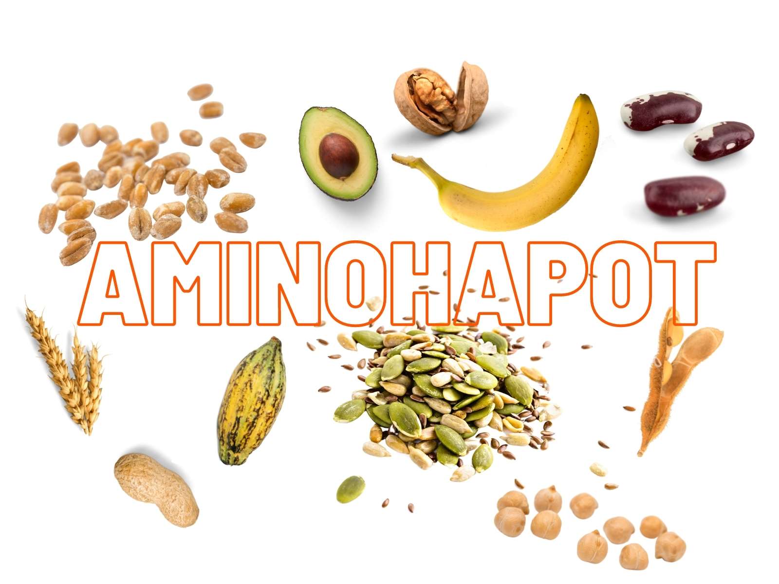 Aminohapot: Kaikki aminohapoista - Vegefrendit